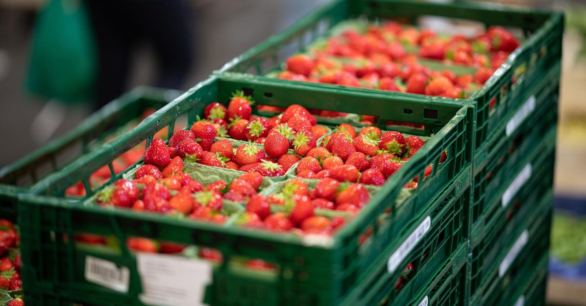 Wormel: Lust auf Bowle